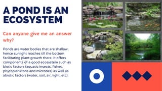 OUR ENVIRONMENT class 10 presentation full lesson explained | PDF