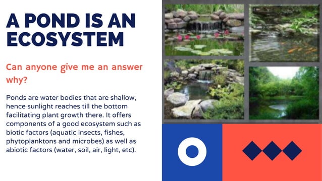 OUR ENVIRONMENT class 10 presentation full lesson explained | PDF