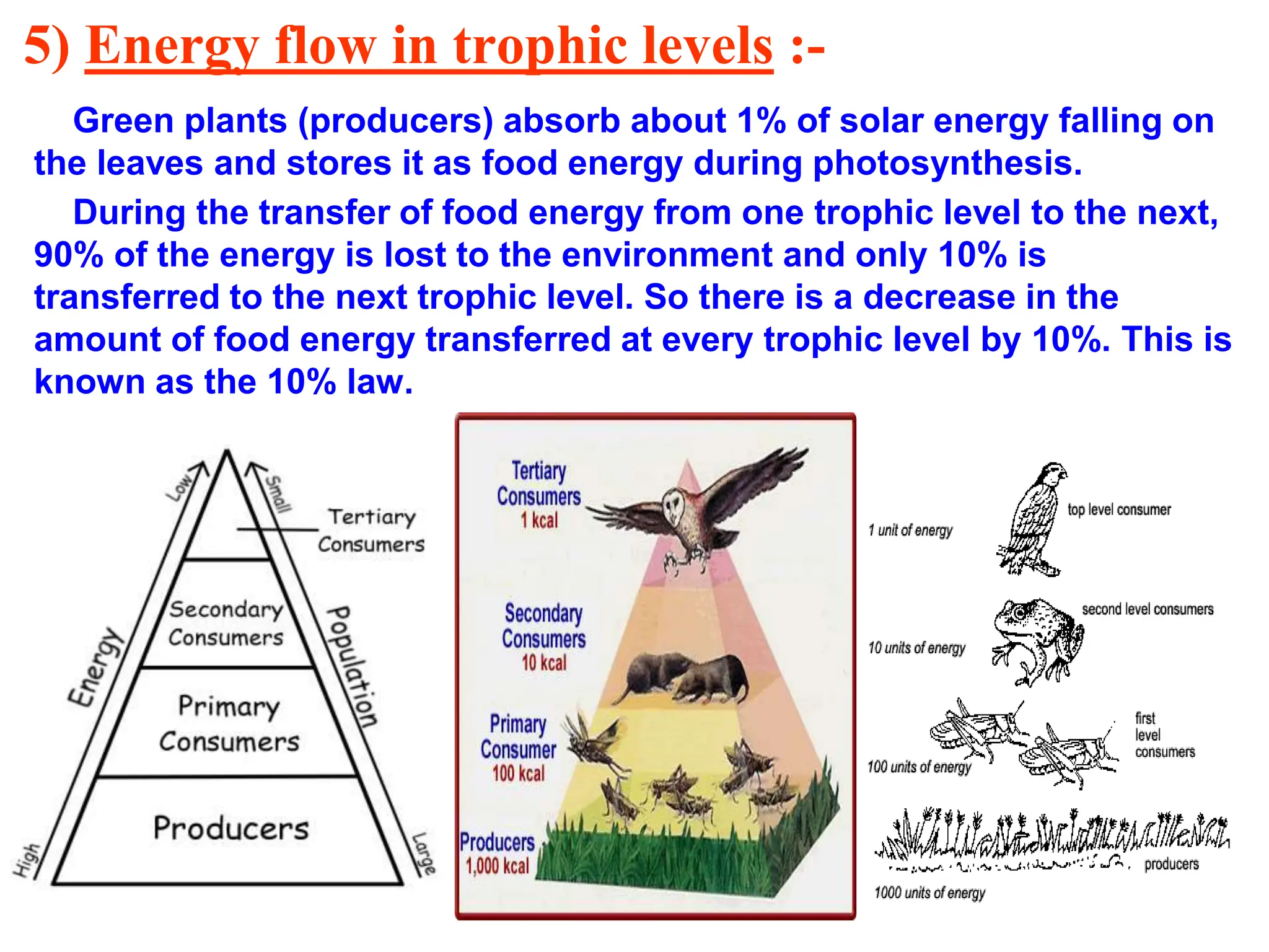 OUR ENVIRONMENT.ppt.pptx class 10 cbse ppt free | PPTX