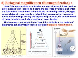 Impact of Human Activities on the Global Environment and Sustainability ...