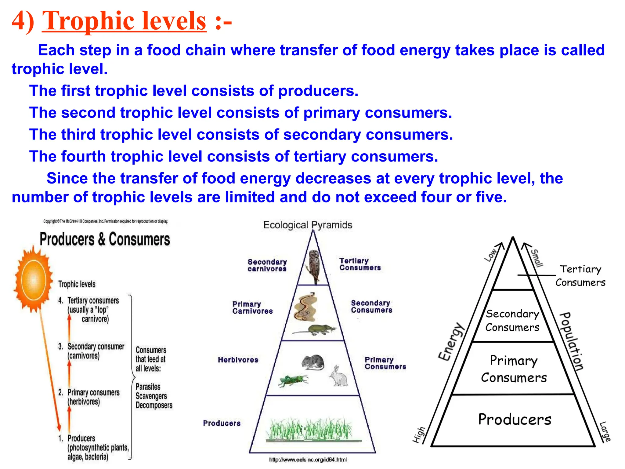 OUR ENVIRONMENT and the our surroundings | PPTX