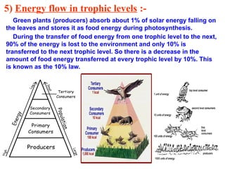 OUR ENVIRONMENT, ecosystem, human exploitation pptx | PPTX