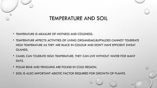 OUR ENVIRONMENT- CLASS 6 note for quick revision | PPTX