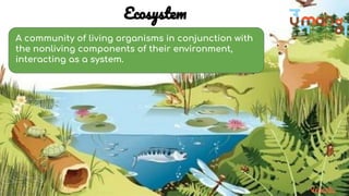 Our+Environment+-+I.pdf | Food & Drink