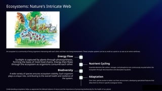 Our Environment Class 7 geography .pptx. | PPT