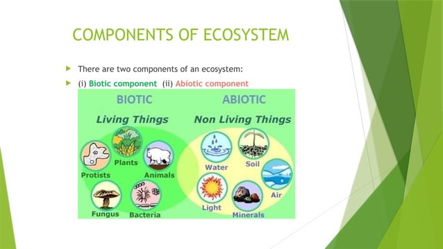 our environment ppt [1][1].pptx.......... | PPT
