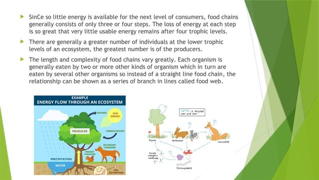 our environment ppt [1][1].pptx.......... | PPT