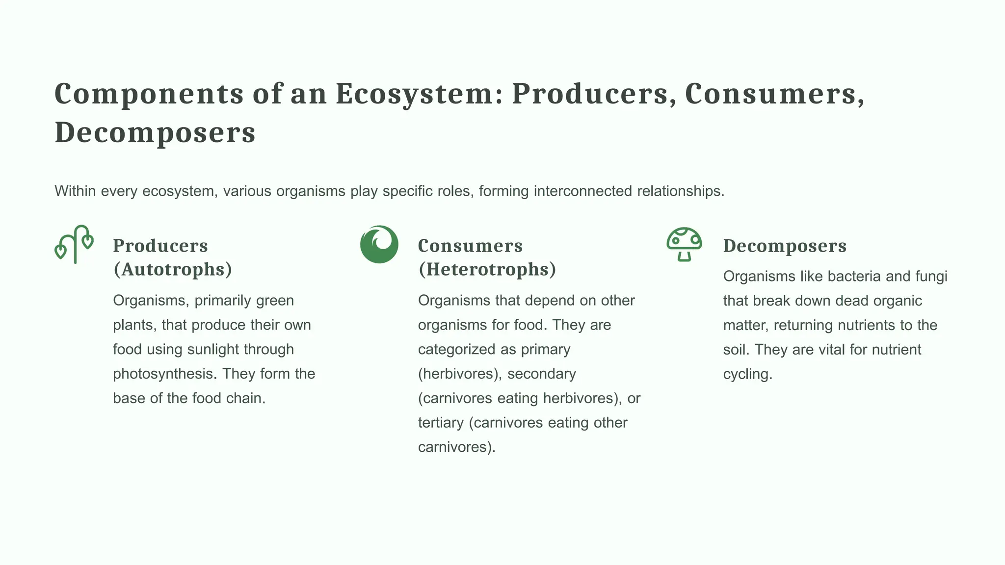 our environment ppt by rajeev and prem.pptx