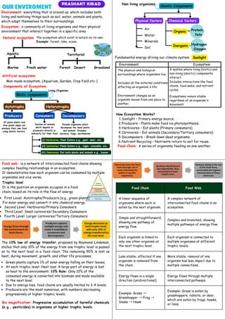 Our Environment (Prashant Kiradd is a very long time back Note | PDF
