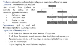 OUR ENVIRONMENT PPT CLASS 10 SCIENCE CHAPTER | PPTX