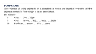 OUR ENVIRONMENT PPT CLASS 10 SCIENCE CHAPTER | PPTX