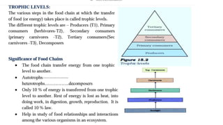 OUR ENVIRONMENT PPT CLASS 10 SCIENCE CHAPTER | PPTX