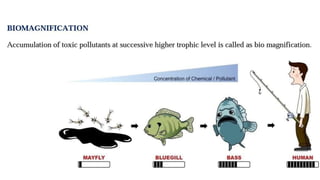 OUR ENVIRONMENT PPT CLASS 10 SCIENCE CHAPTER | PPTX