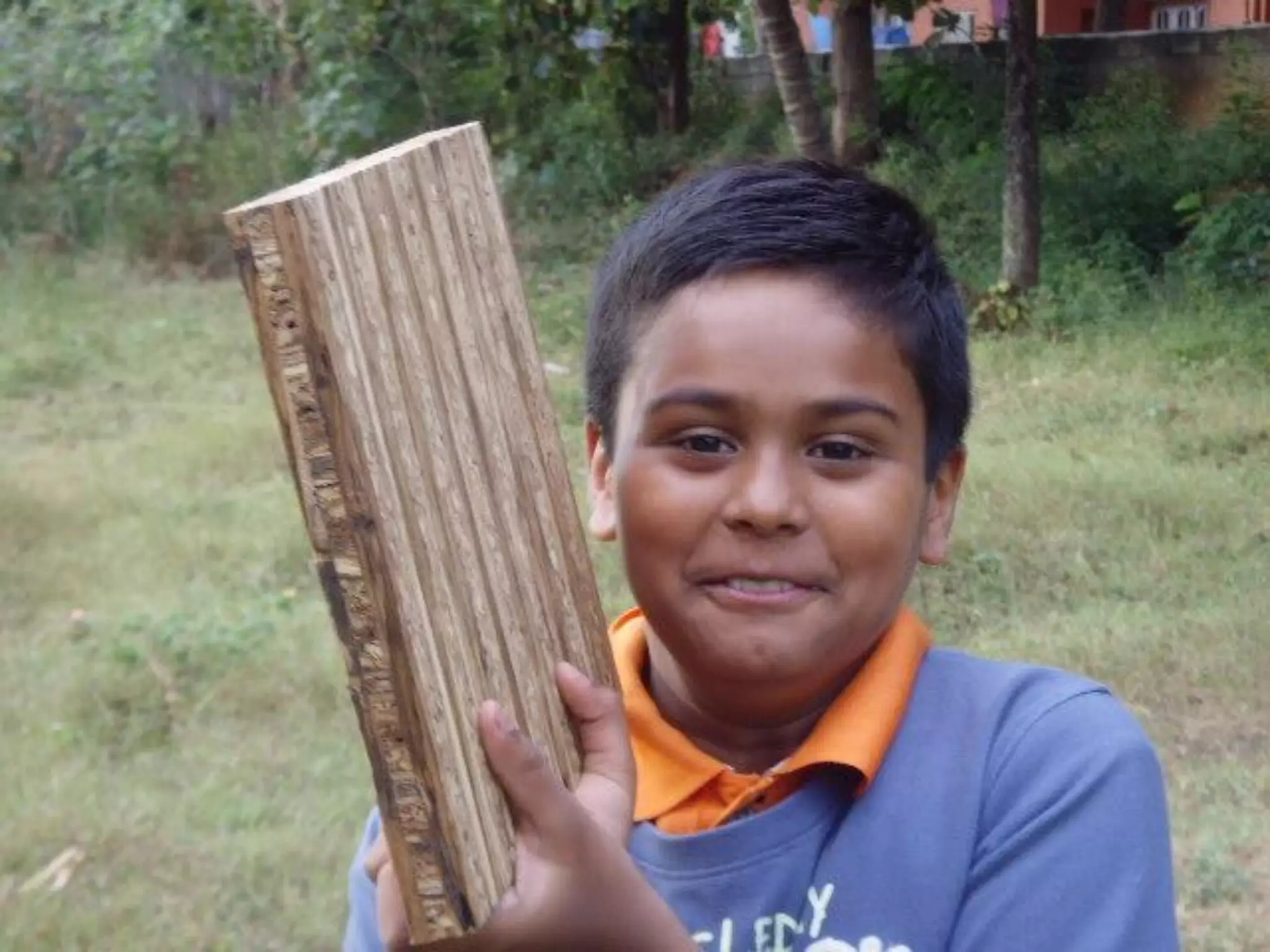 Our first Sorghum Board | PDF