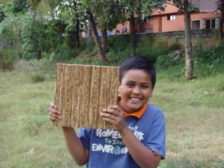 Our first Sorghum Board | PDF