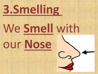 Our five senses | PPTX