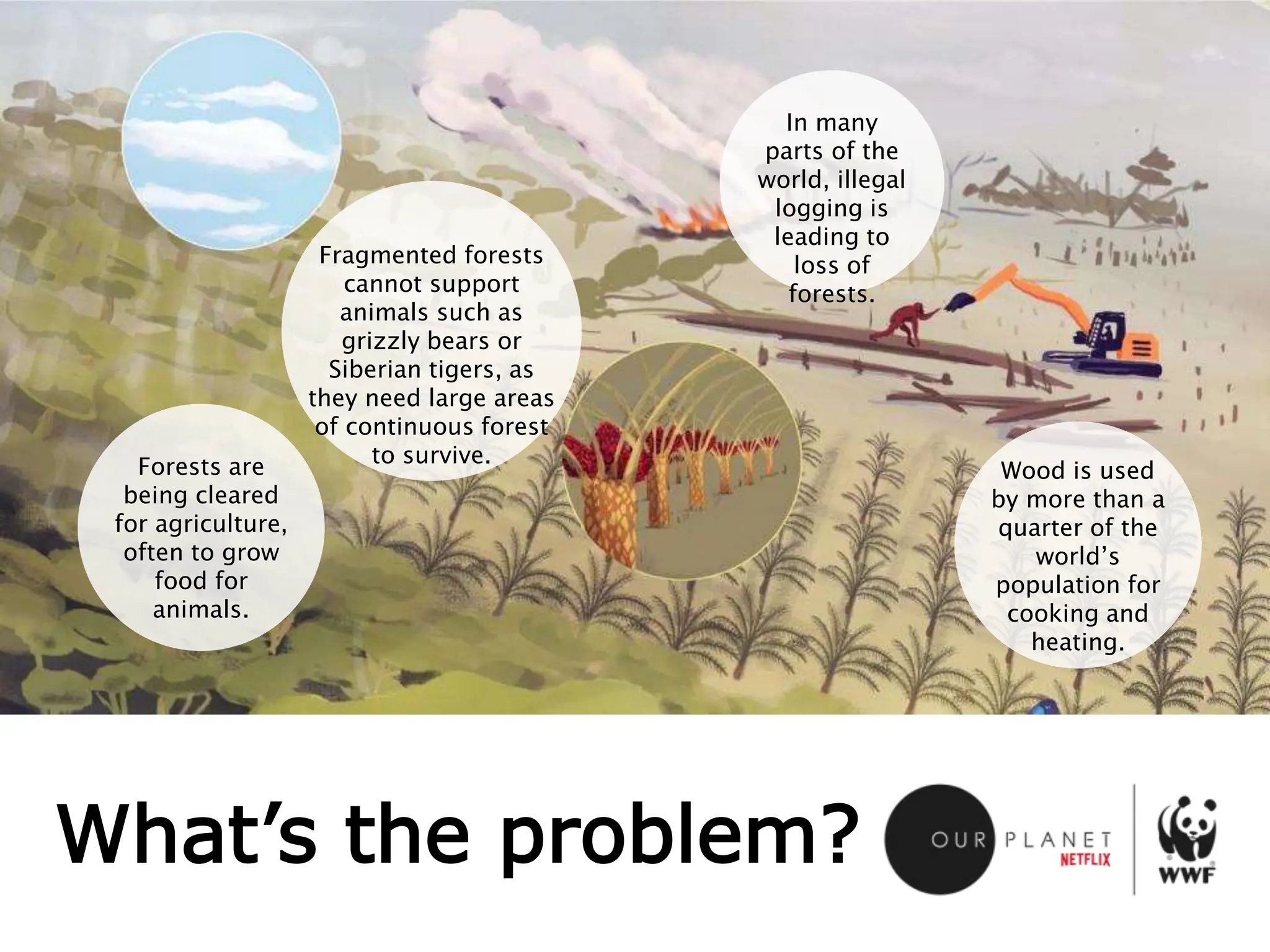 Forests-envir_eco_bio_protection__slides | PPTX