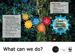 Forests-envir_eco_bio_protection__slides | PPTX