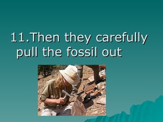 Our fossil flow chart | PPT
