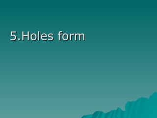 Our fossil flow chart | PPT