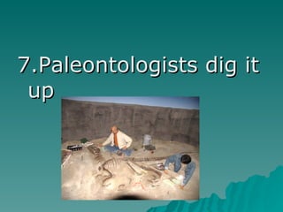 Our fossil flow chart | PPT