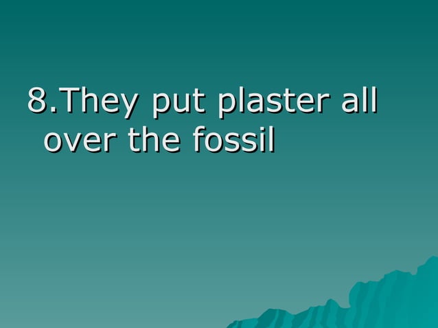Our fossil flow chart | PPT | Geology | Science