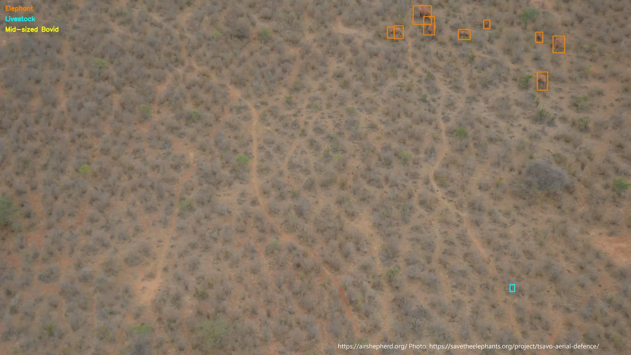 Our future with AI - Terrifying or Funtastic | PDF