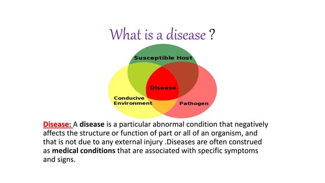 our health class 9th ppt | PPTX