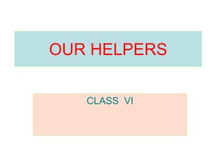 Our helpers | PPSX