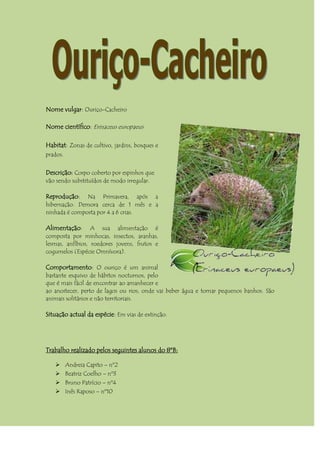 Ouriço cacheiro | PDF