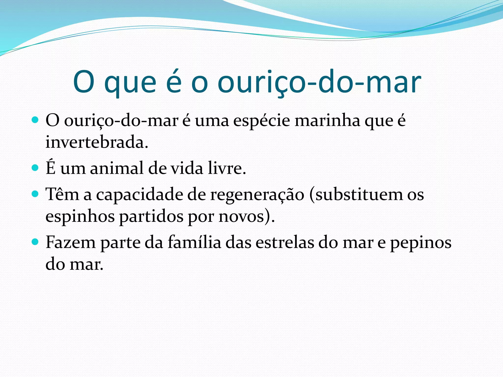 Ouriço do-mar ppt | PPT