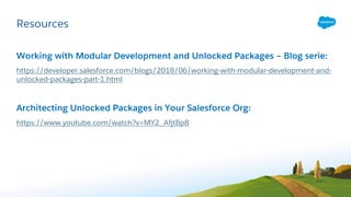 Our move to Salesforce DX and Unlocked Packages | PDF
