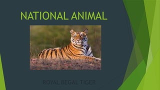 OUR NATIONAL SYMBOLS OF INDIA.PPT.ppgoodtx | PPTX