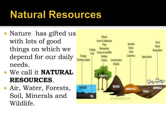 Our natural resources
