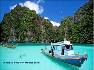 Our natural world | PPSX