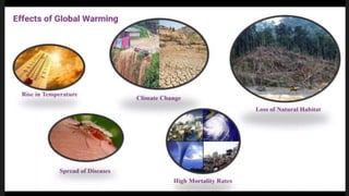 Our nature, our responsibility | PPTX