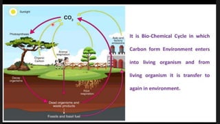 Our nature, our responsibility | PPTX