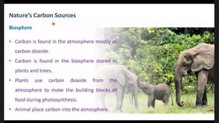 Our nature, our responsibility | PPTX