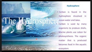 Our nature, our responsibility | PPTX