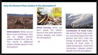 Our nature, our responsibility | PPTX