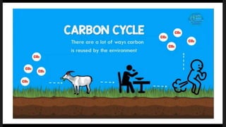 Our nature, our responsibility | PPTX