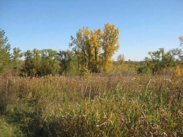 Our nature walk | PPT | Environment | Science