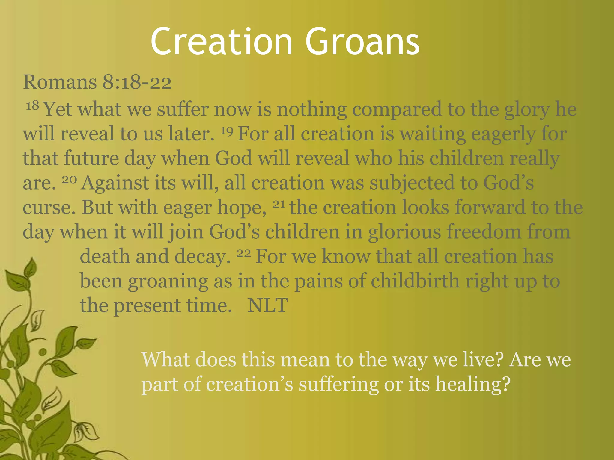 Our place in creation | PPTX | Christianity | Religion & Spirituality