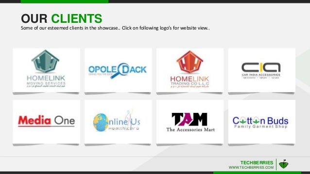 Website Designs by TechBerries