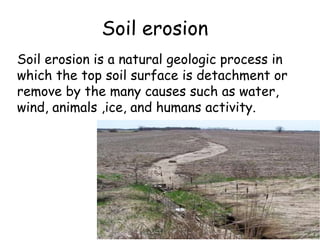 Soil Erosin | PPT
