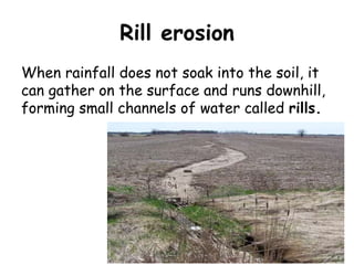 Soil Erosin | PPT
