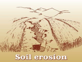 Soil Erosion Drawing