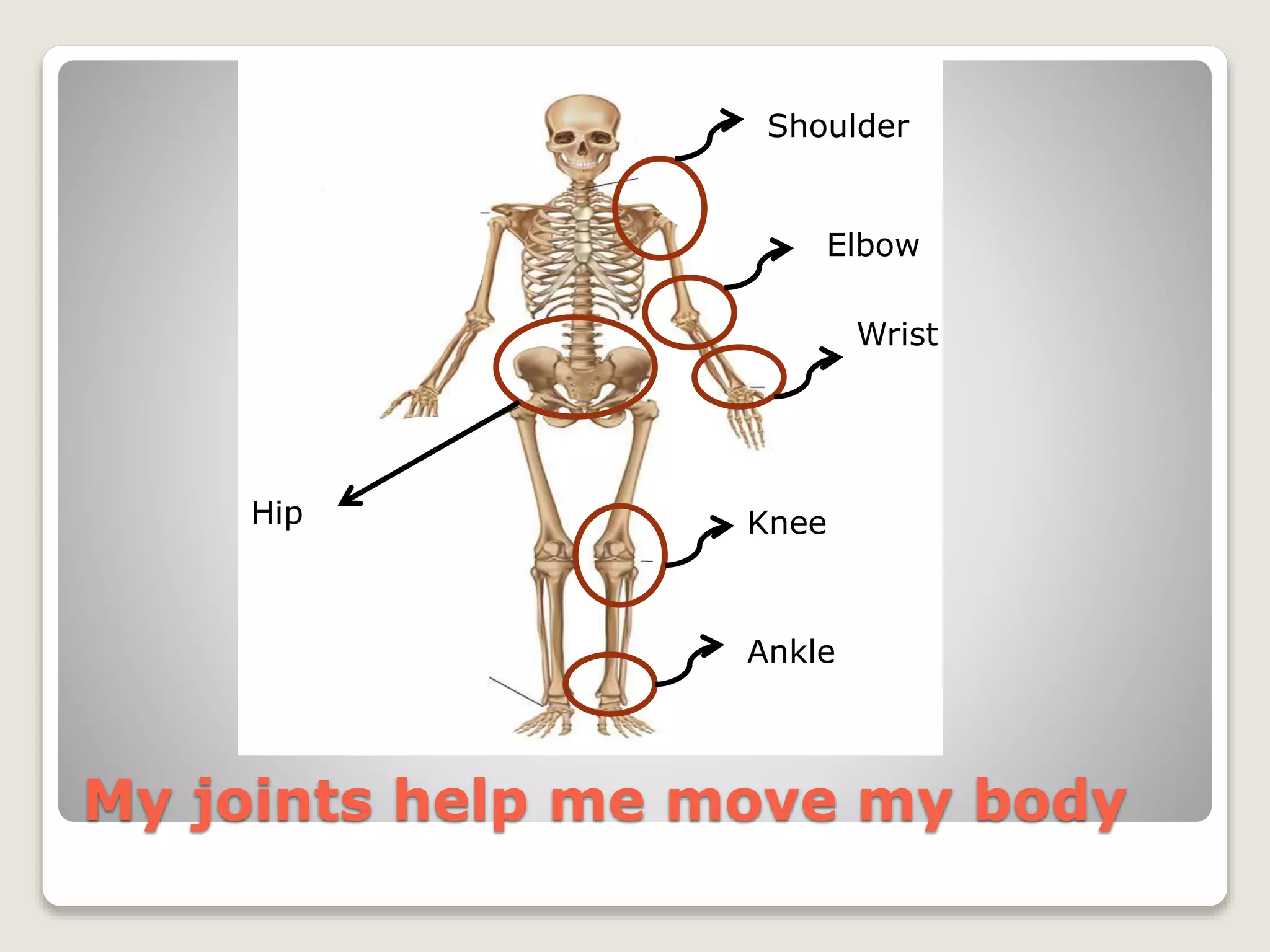 Our three body parts.joints(1) | PPTX