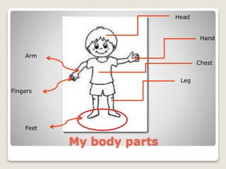 Our three body parts.joints(1) | PPTX