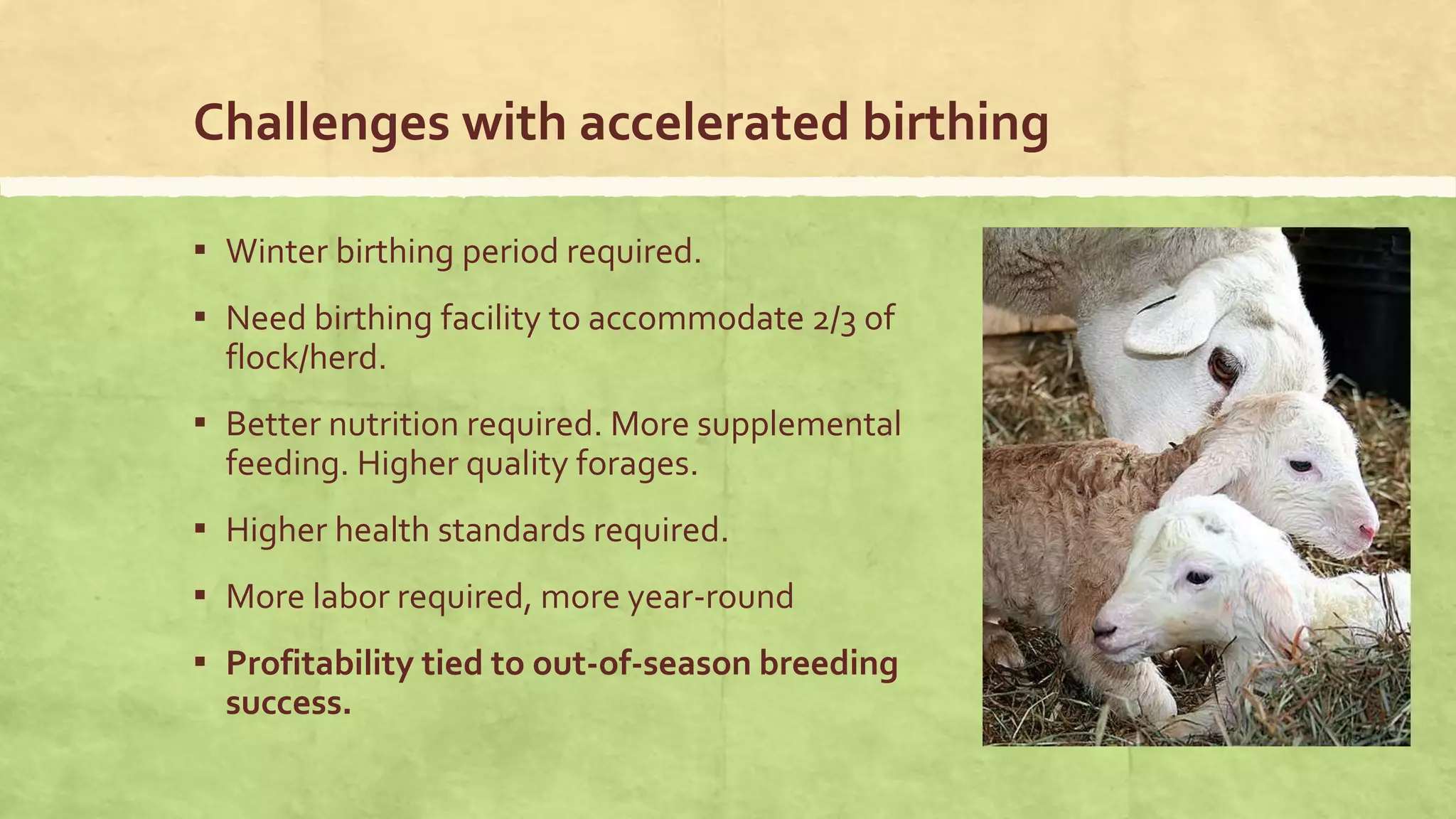 Out of-season breeding and accelerated birthing | PPTX